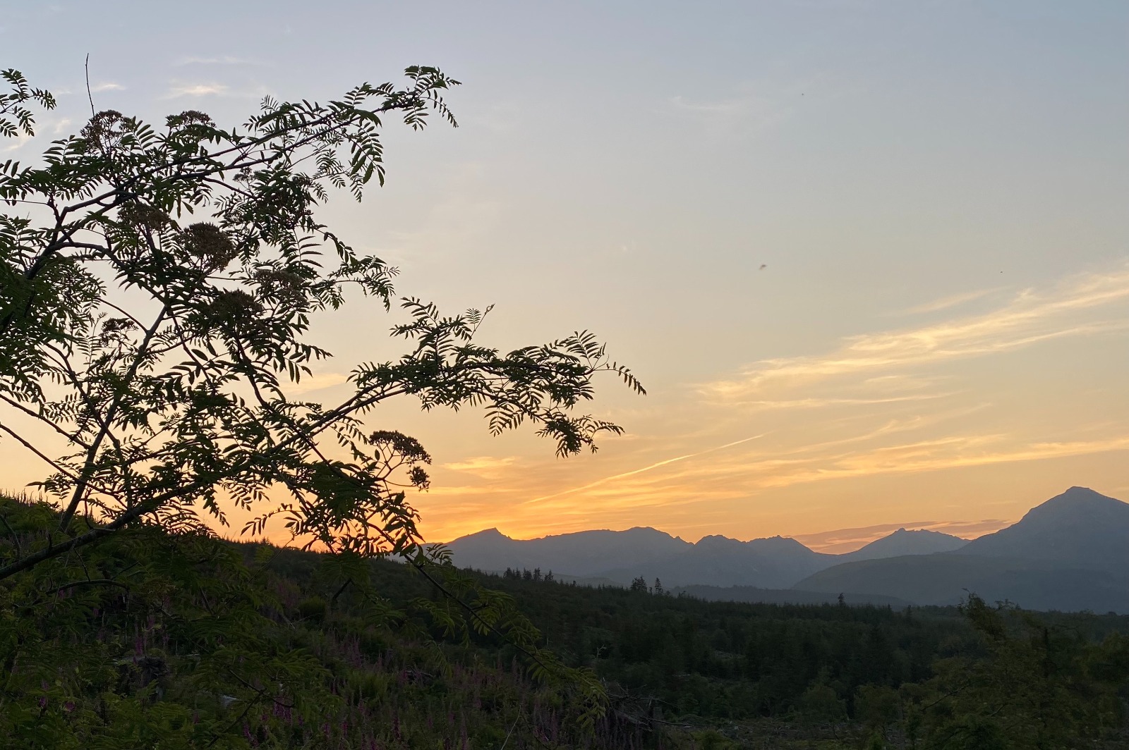 Dùthchas Arainn CBS